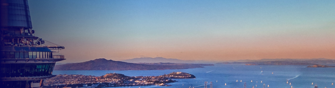 VATNZ - VATSIM New Zealand